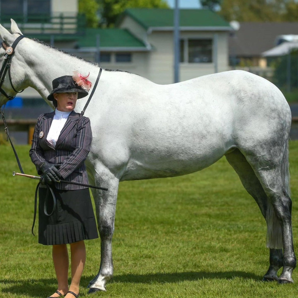 Charcoal Shampoo – Eco Horse
