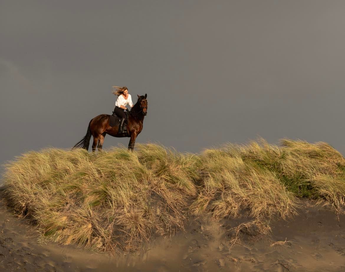 Eco Horse Shine Gallery