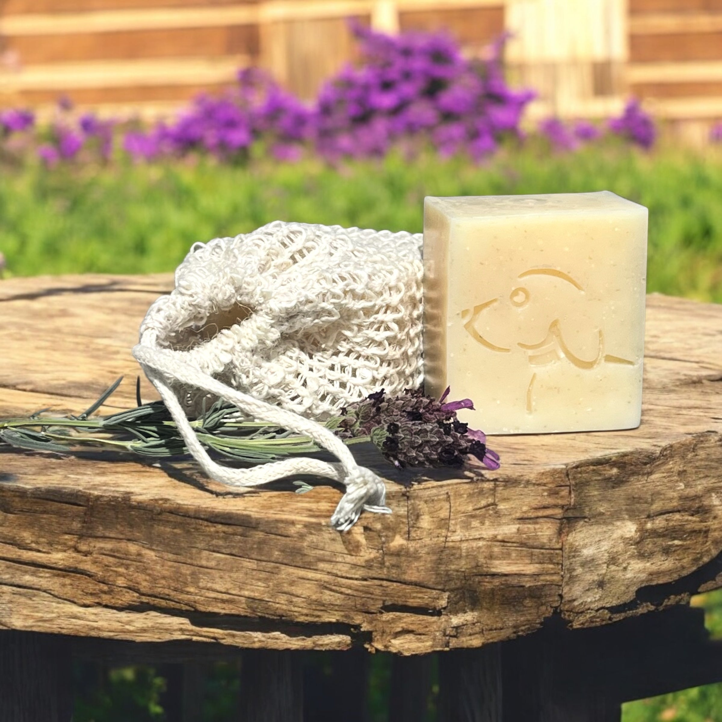 Eco Dog Pure Paws Soap Block – Eco Horse