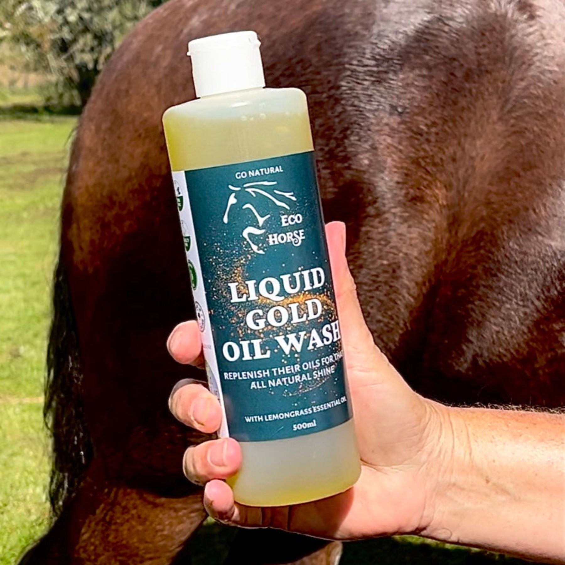 Liquid Gold Oil Wash for Horses. All natural horse grooming Oil Wash ...
